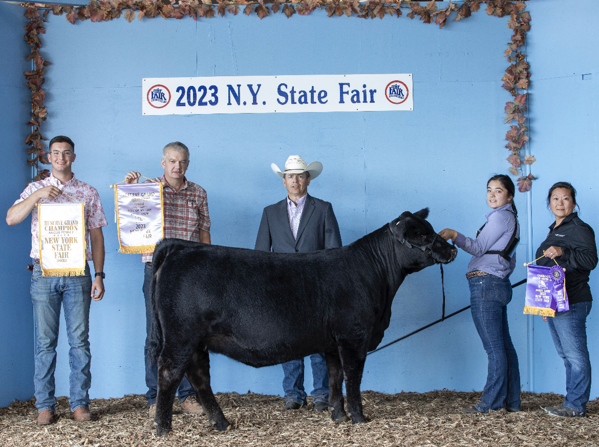 Our Legacy – Kings Angus Farm